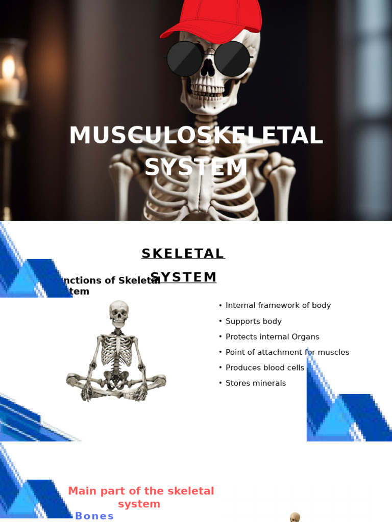 Musculoskeletal System - 20250315 - 115100 - 0000 | PDF | Skeleton ...