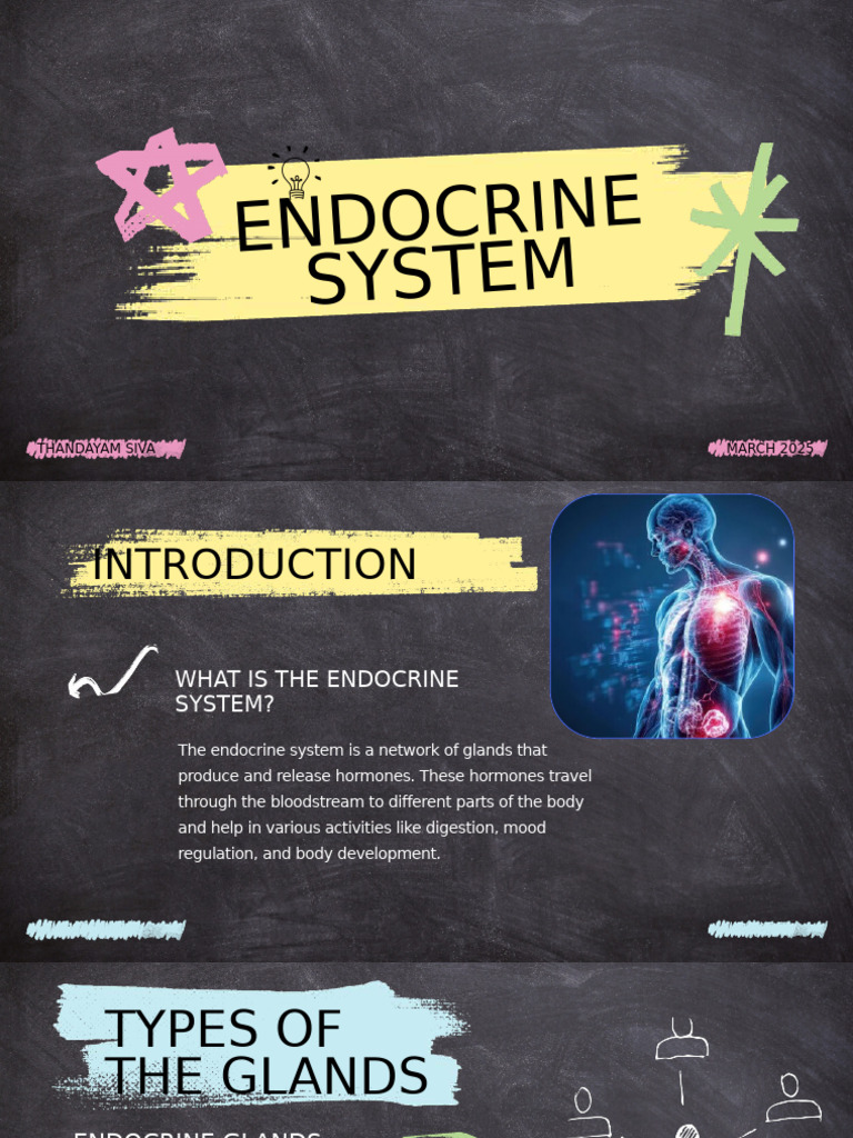Endocrine System Black and White Chalkboard Brainstorm Presentation ...