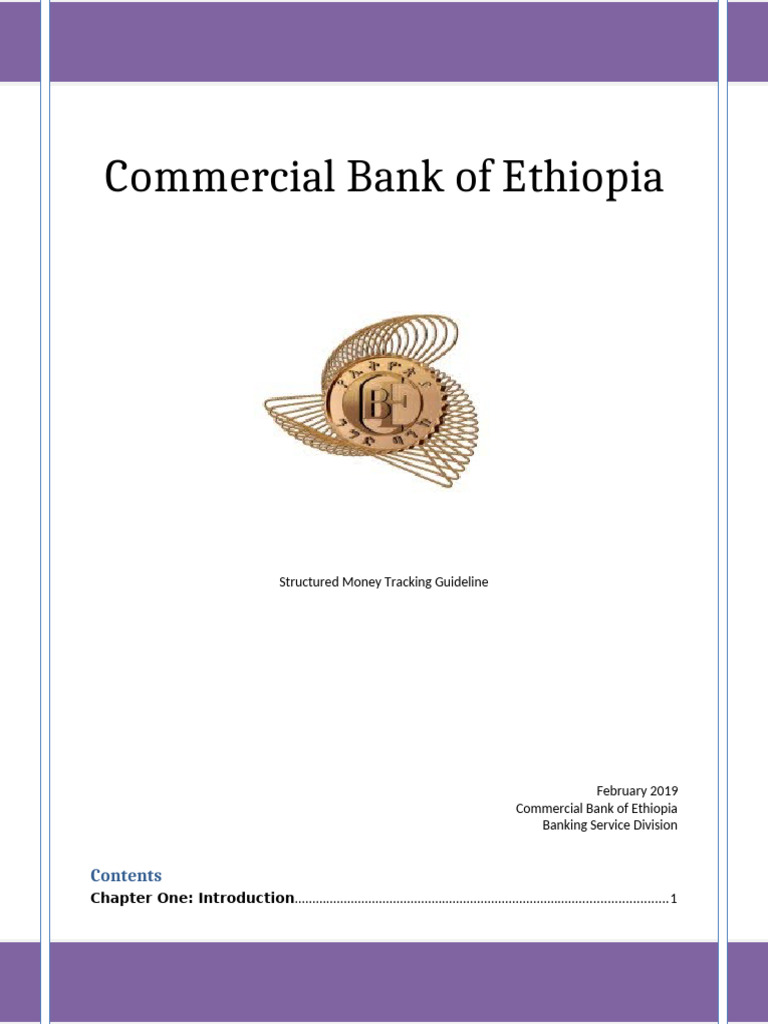 Guideline For Structured Money Tracking Practice | PDF | Banks | Money