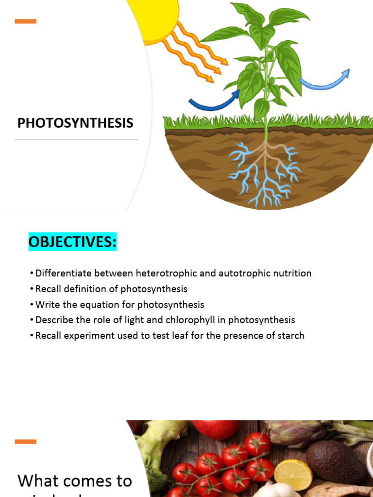 PHOTOSYNTHESIS end | PDF | Photosynthesis | Nutrition