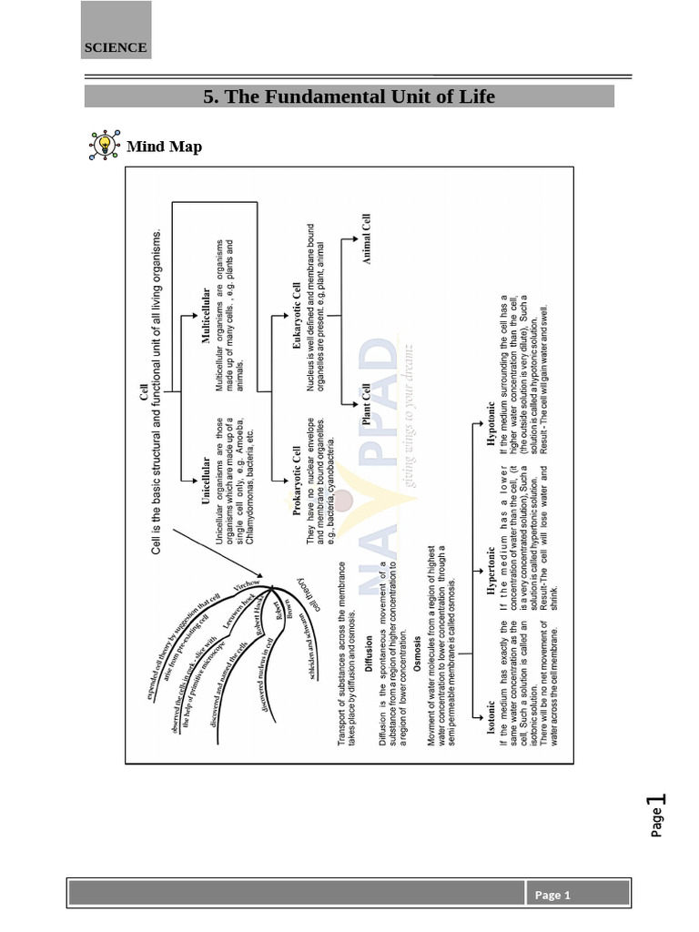 The Fundamental Unit of Life | PDF | Cell (Biology) | Endoplasmic Reticulum