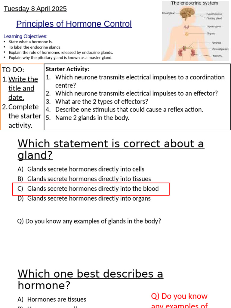Lesson 4 Principles of Hormone Control | PDF | Endocrine System | Hormone