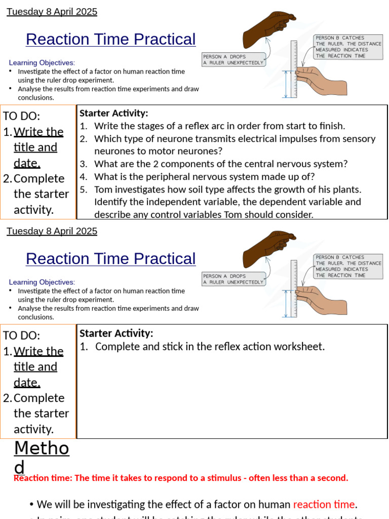 Lesson 3 Reaction Time Practical | PDF | Mental Chronometry | Accuracy ...