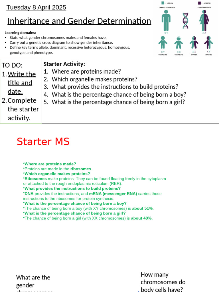 Lesson 4 Inheritance and Gender Determination | PDF | Dominance ...