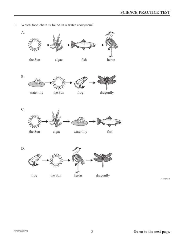 Grade 5 Science Practice Test | PDF | Water | Earth Sciences