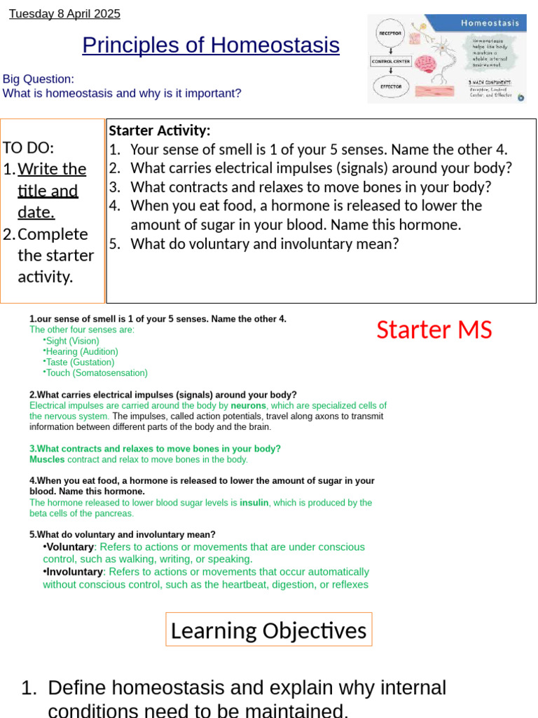 Lesson 1 Principles of Homeostasis | PDF | Nervous System | Central ...