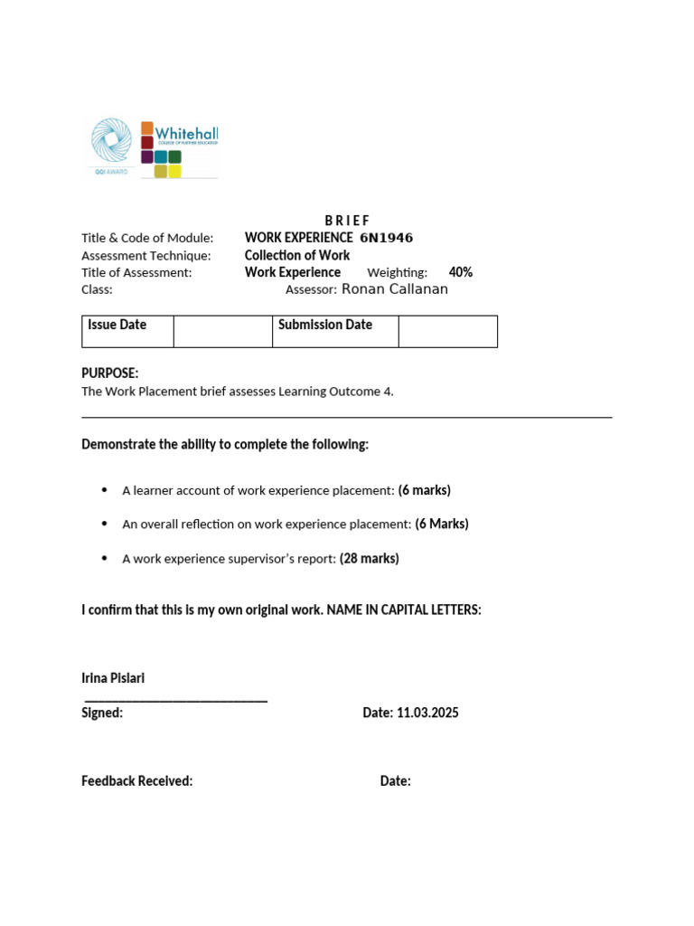 Level 6 Brief 4 - Work Experience | PDF