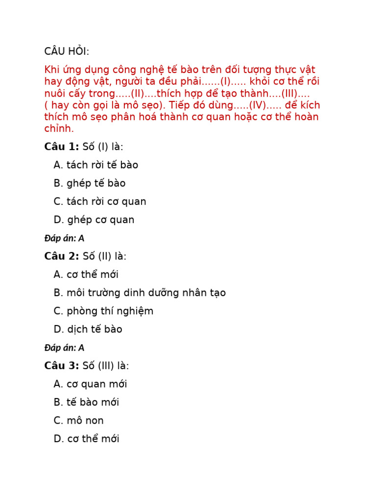 CÂU HỎI-Nhóm 7 WPS Office | PDF