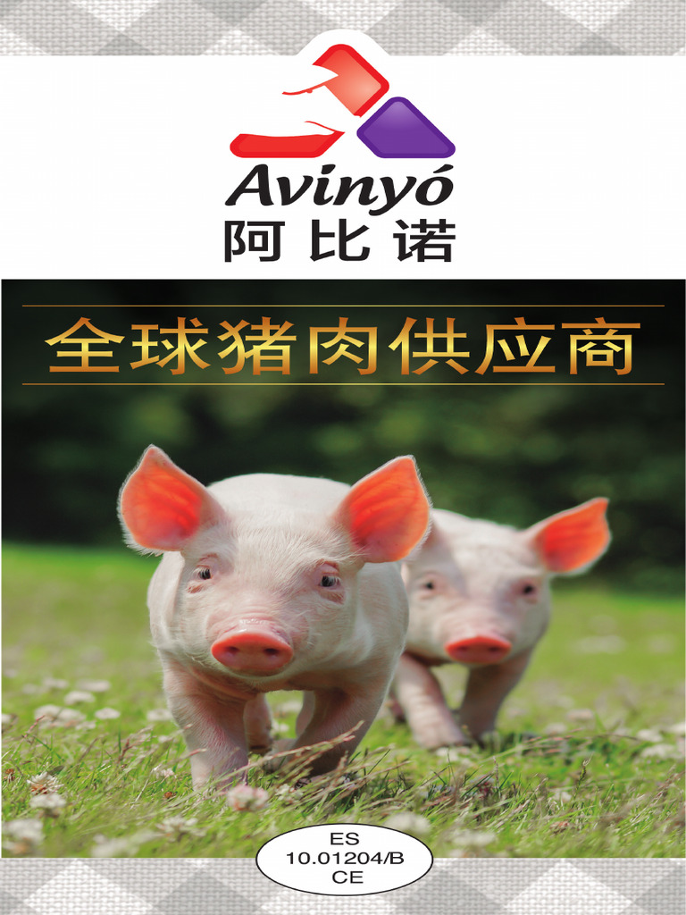 Avinyo Export Brochure Chinese | PDF