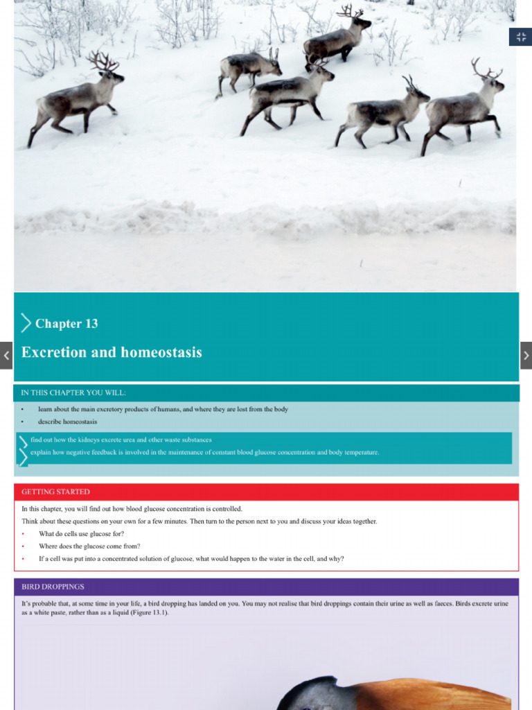 Biology IGCSE - Chapter - 13 | PDF