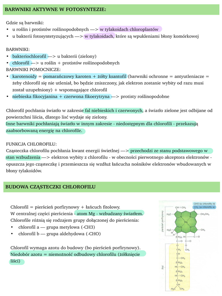 Barwniki I Chlorofil - Biologia | PDF