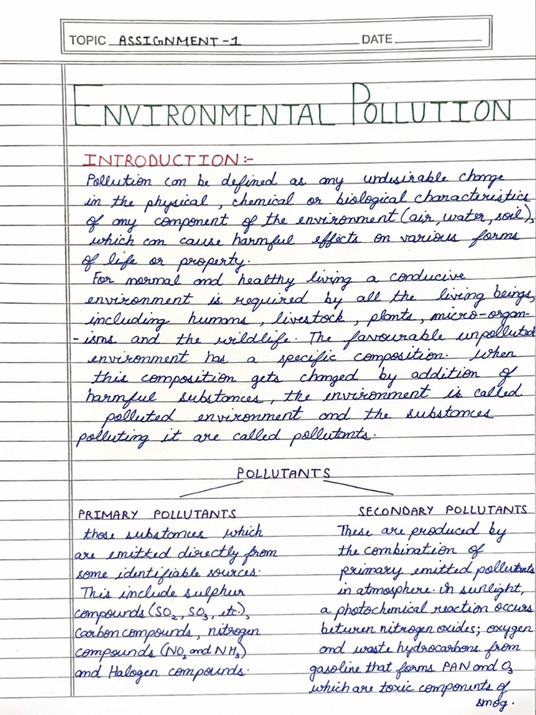 Evs assignment Pollution | PDF