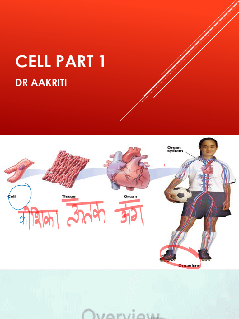 Cell Part 1: DR Aakriti | PDF