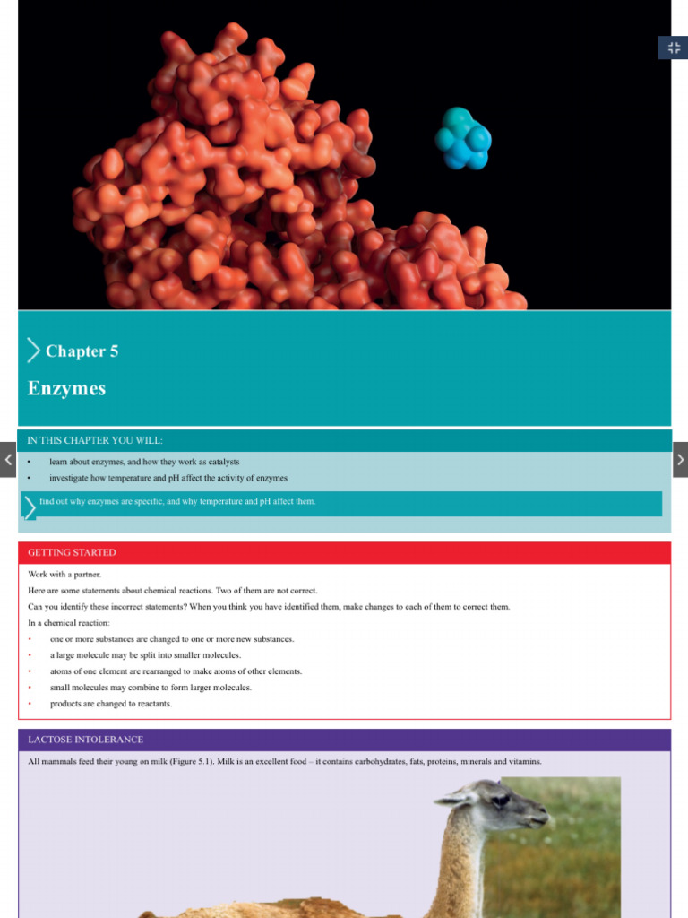 Biology IGCSE - Chapter - 5 | PDF