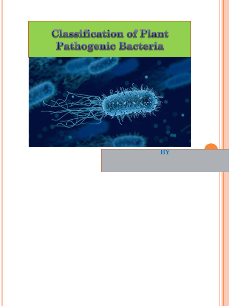 Classification of Plant Pathogenic Bacteria PDF | PDF | Prokaryote | Plants