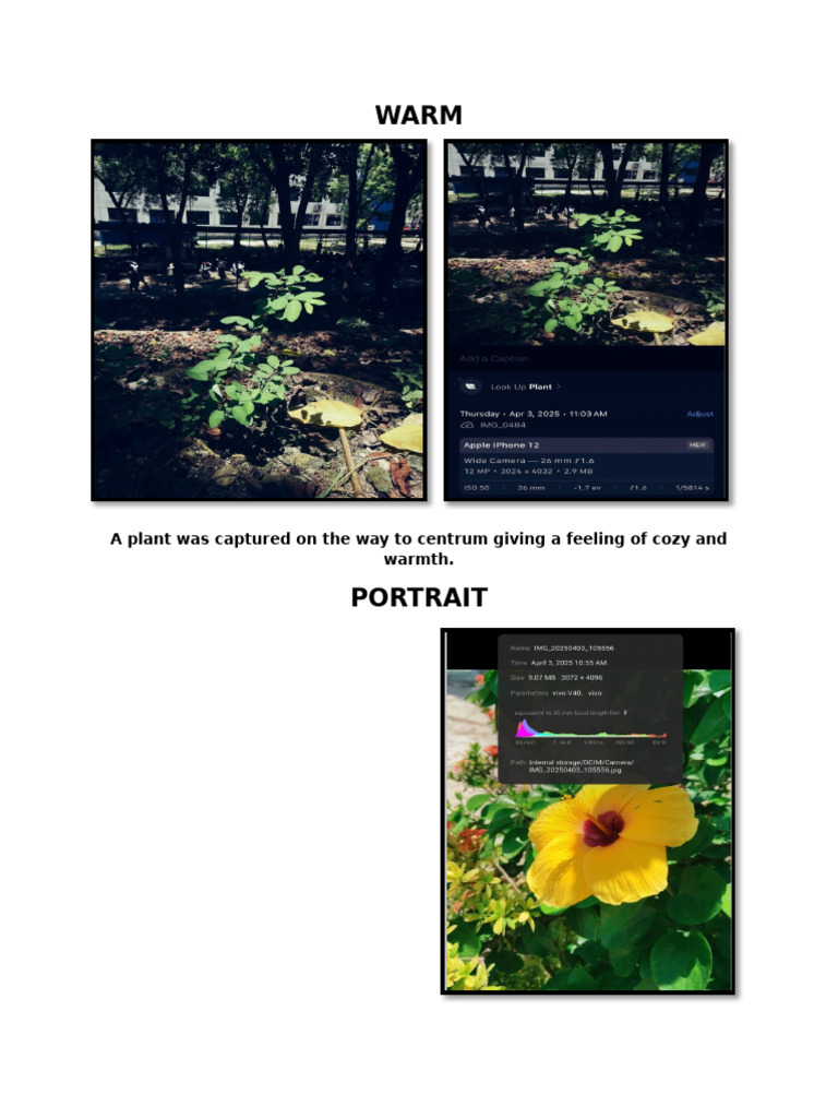 Photography Emerot | PDF