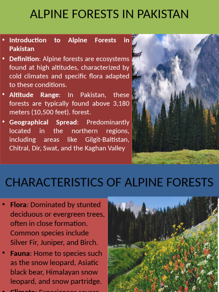 Alpine Forests of Pakistan Overview | PDF | Himalayas | Forests