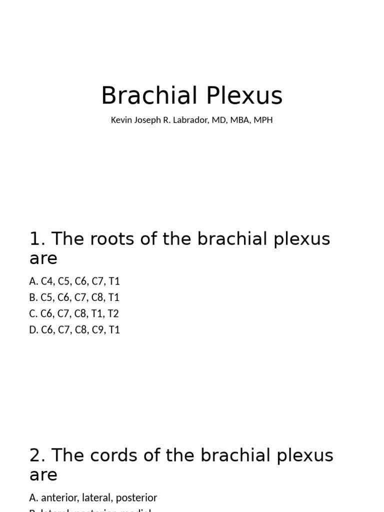 Brachial Plexus | PDF | Arm | Elbow