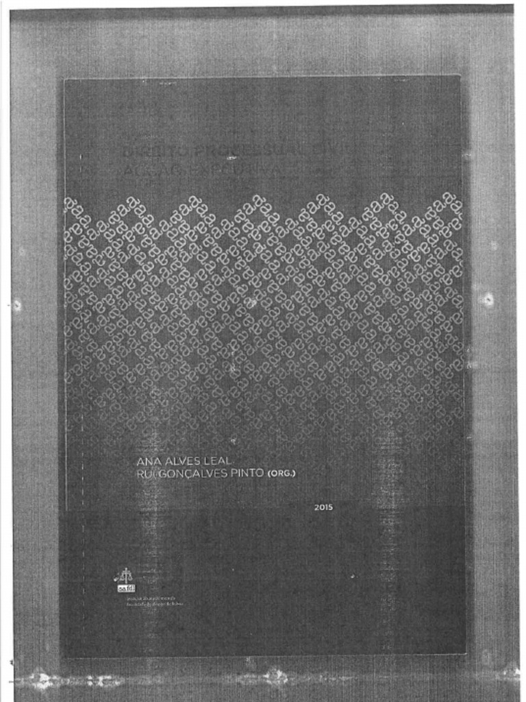 Rui Pinto - Livro Casos PraÌ - Ticos | PDF