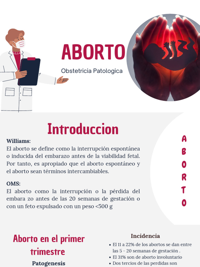 Aborto 2025 | PDF | Aborto | El embarazo