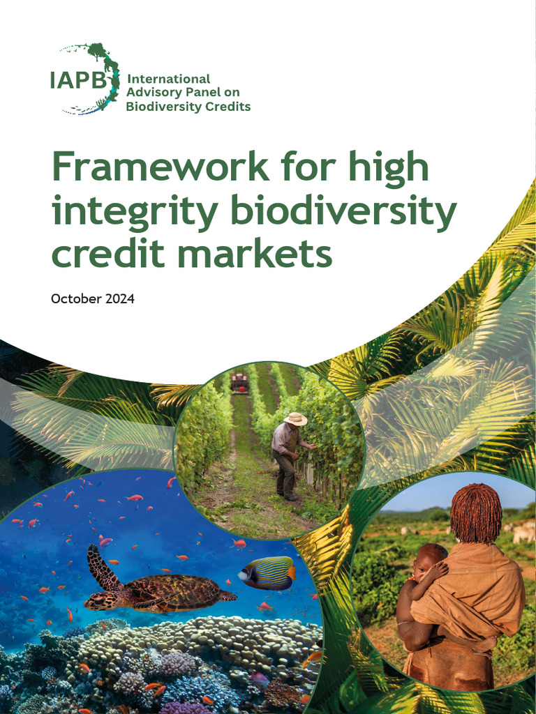 Biodiversity Credit Market Framework | PDF | Biodiversity | Sustainability