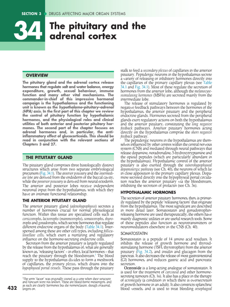 BT UP3 Pituitaria+Adrenal | PDF | Pituitary Gland | Hypothalamus