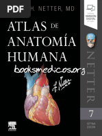 Istmo de Las Fauces | PDF | Boca | Anatomía humana