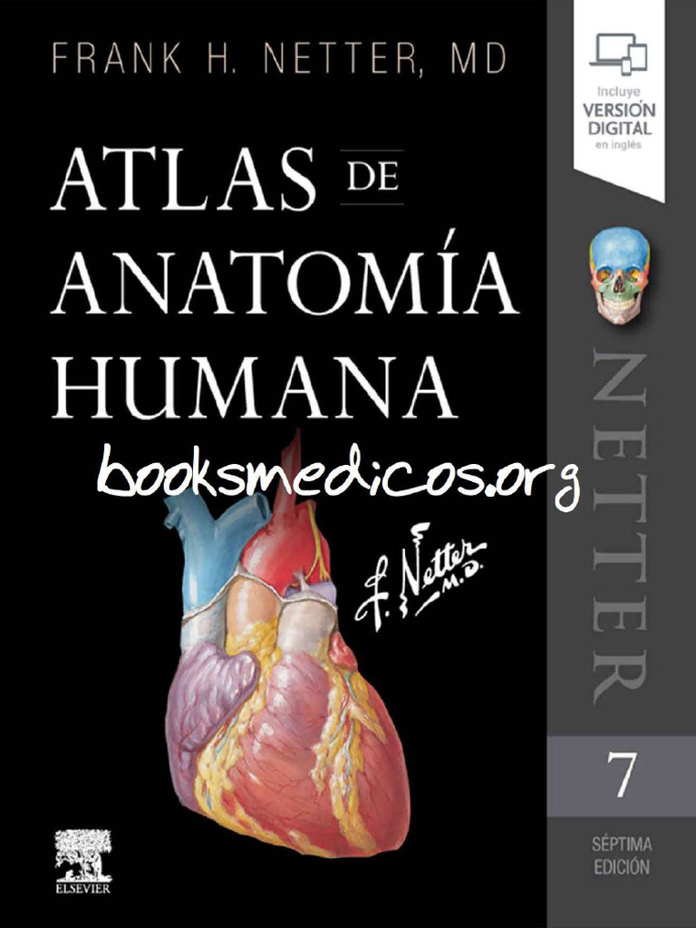 Netter Atlas de Anatomia Humana 7ma Edición | PDF | Corazón | Pelvis