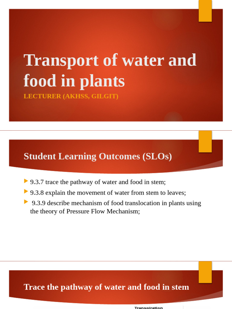 Transport of Water and Food in Plants | PDF | Botany | Plant Physiology