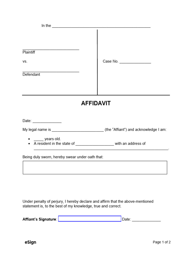 Affidavit For Court | PDF