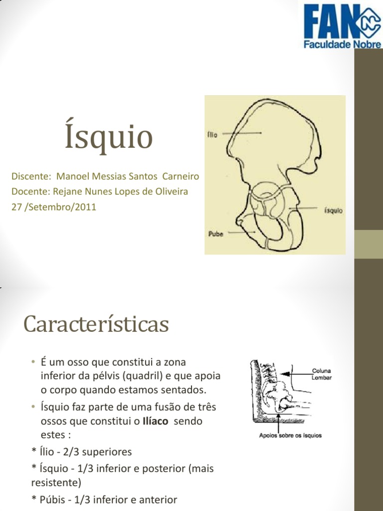 Anatomia do Ísquio e Postura Correta | PDF | Pélvis | Sistema Locomotor
