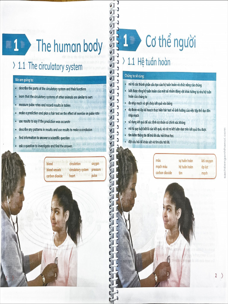 Science Grade 6 | PDF