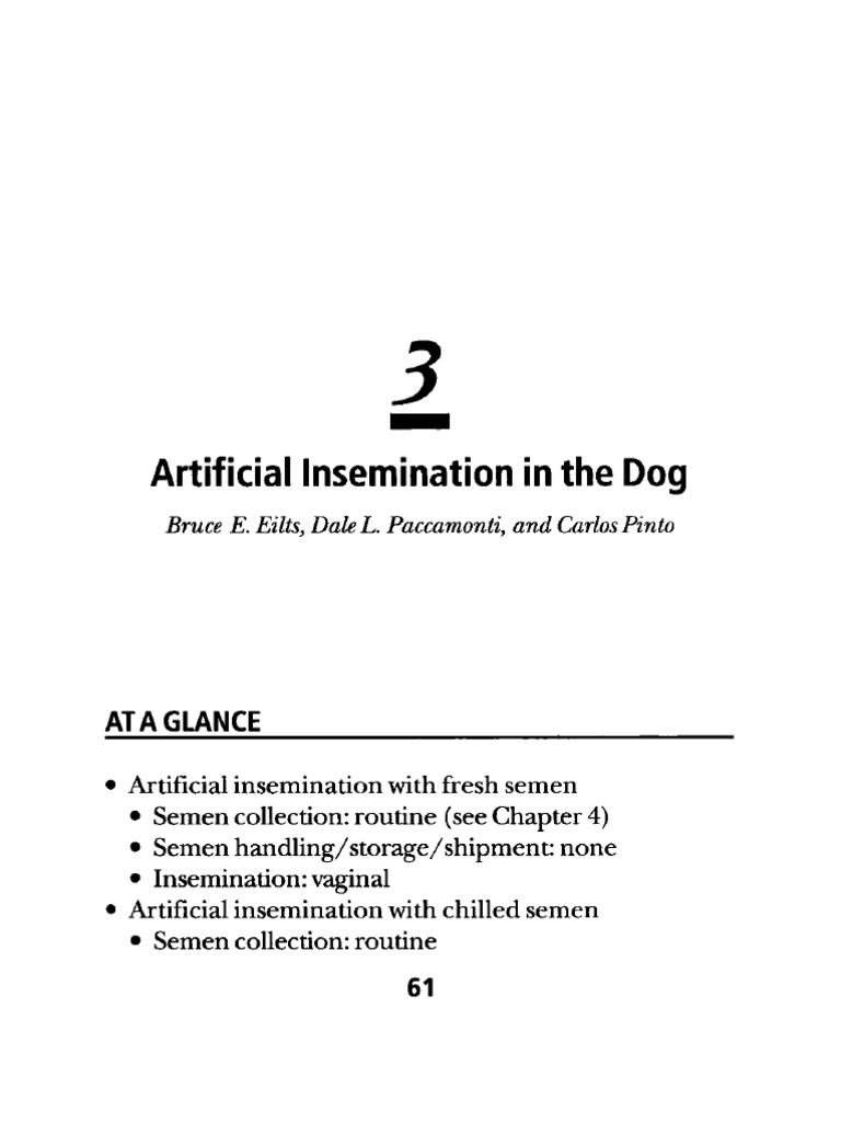 Chapter 3 Artificial Insemination in The Do 2003 Small Animal ...