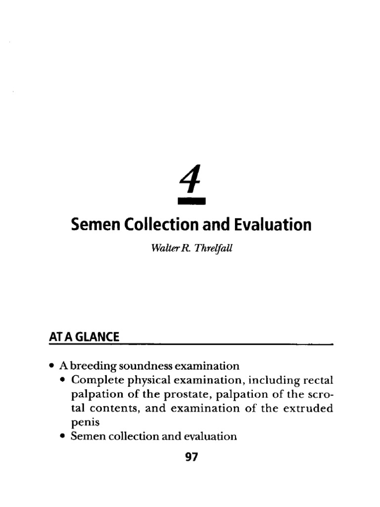 Canine Semen Collection Guide | PDF | Testicle | Ejaculation