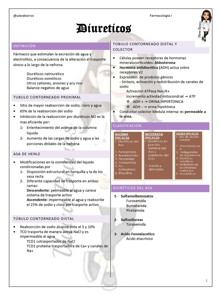 Diuréticos: Mecanismos y Clasificación | PDF