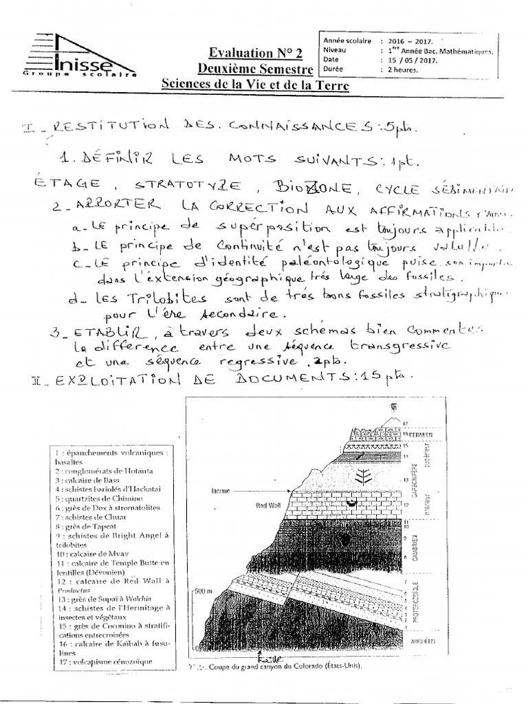 Devoir 2 Modele 1 SVT 1er Bac SM Semestre 2 | PDF