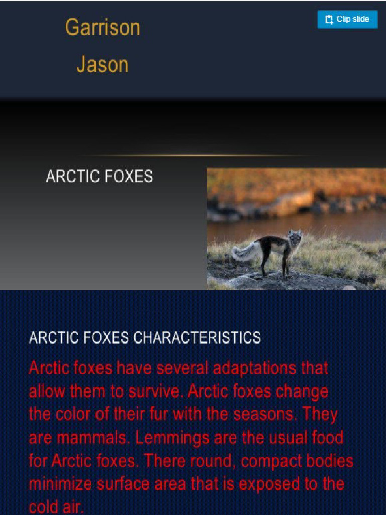 Arctic Foxes | PDF