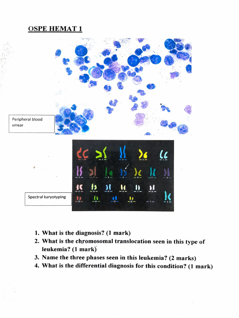 Hematology Case Studies and Diagnoses | PDF | Vertebral Column | Anemia