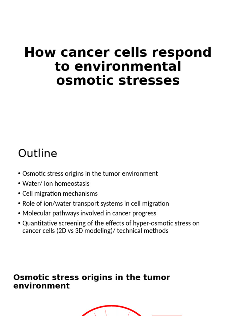 How Cancer Cells Respond to Hyperosmotic Stresses | PDF | Cell ...