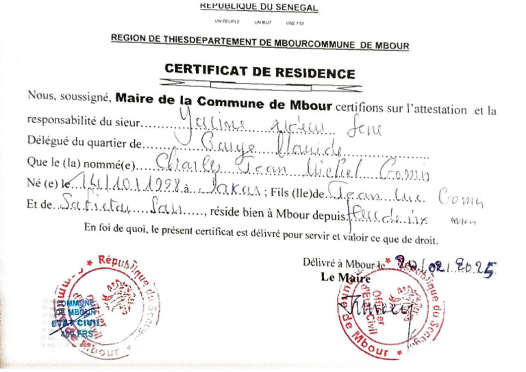 PDFReader_20250320_1238 | PDF