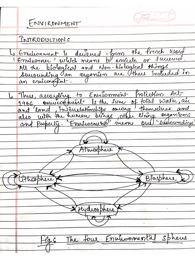 Environment Notes | PDF