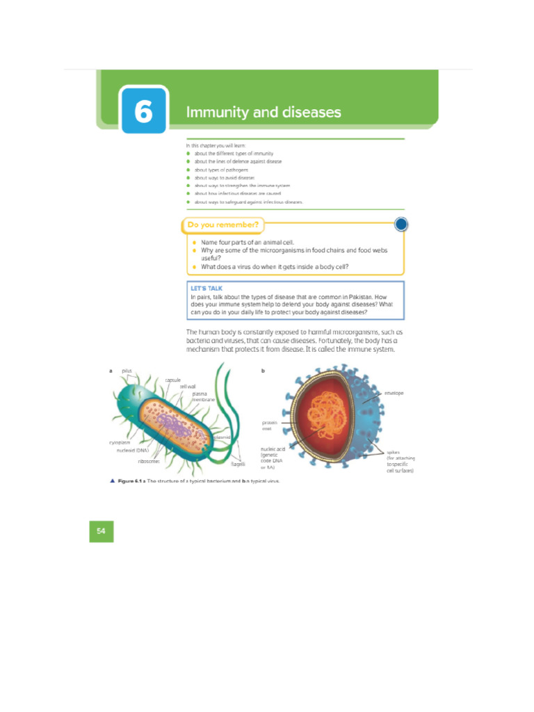 Immunity and Diseases | PDF