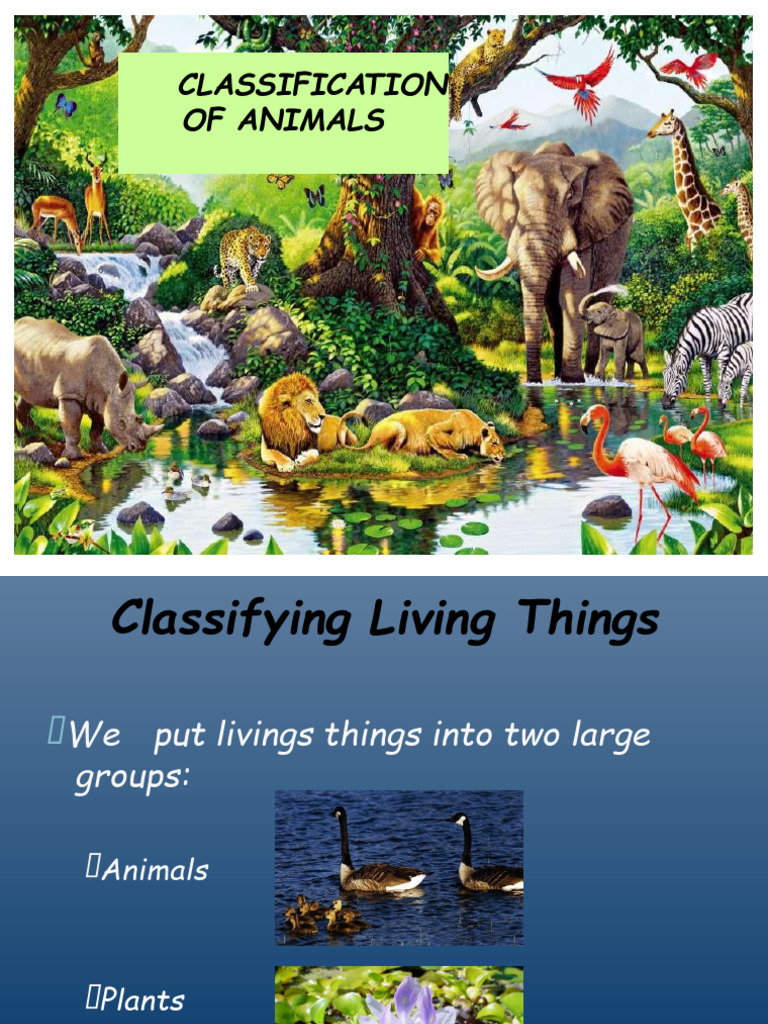 Classification of Animals | PDF | Egg | Amphibian