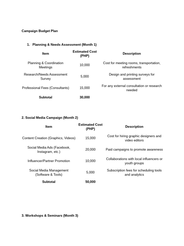 Campaign Budget Plan | PDF