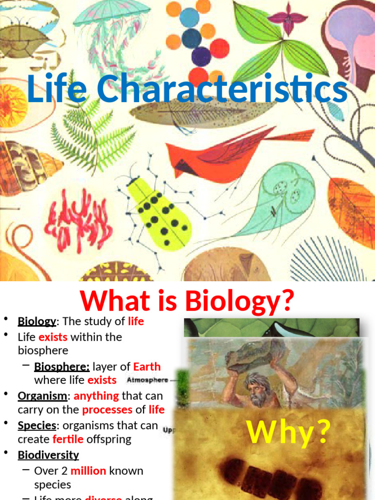 2015 Char of Life Chavez Bhhs | PDF | Reproduction | Biology