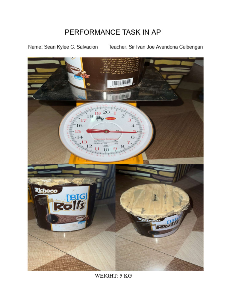 Performance Task in Ap | PDF