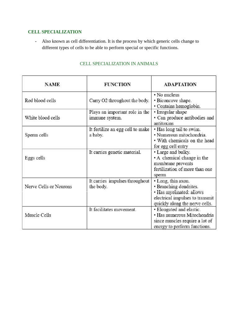 Cell Specialization and Modifications | PDF