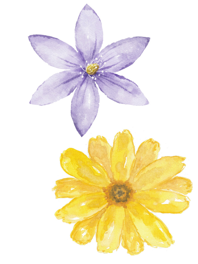BLOMME | PDF