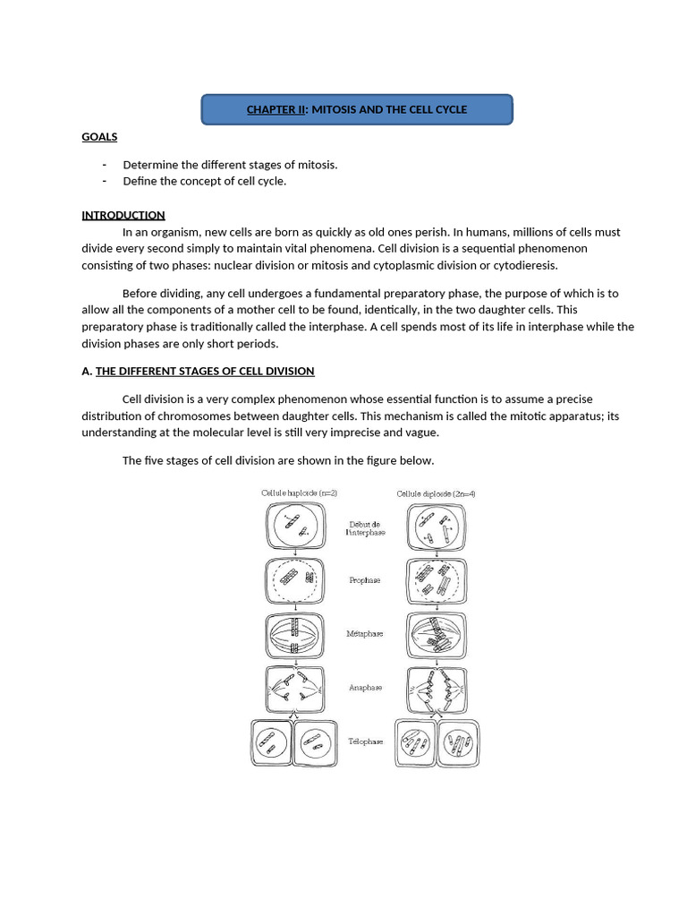 Chapitre III La Mitose Et Le Cycle Cellulaire | PDF | Mitosis | Cell ...