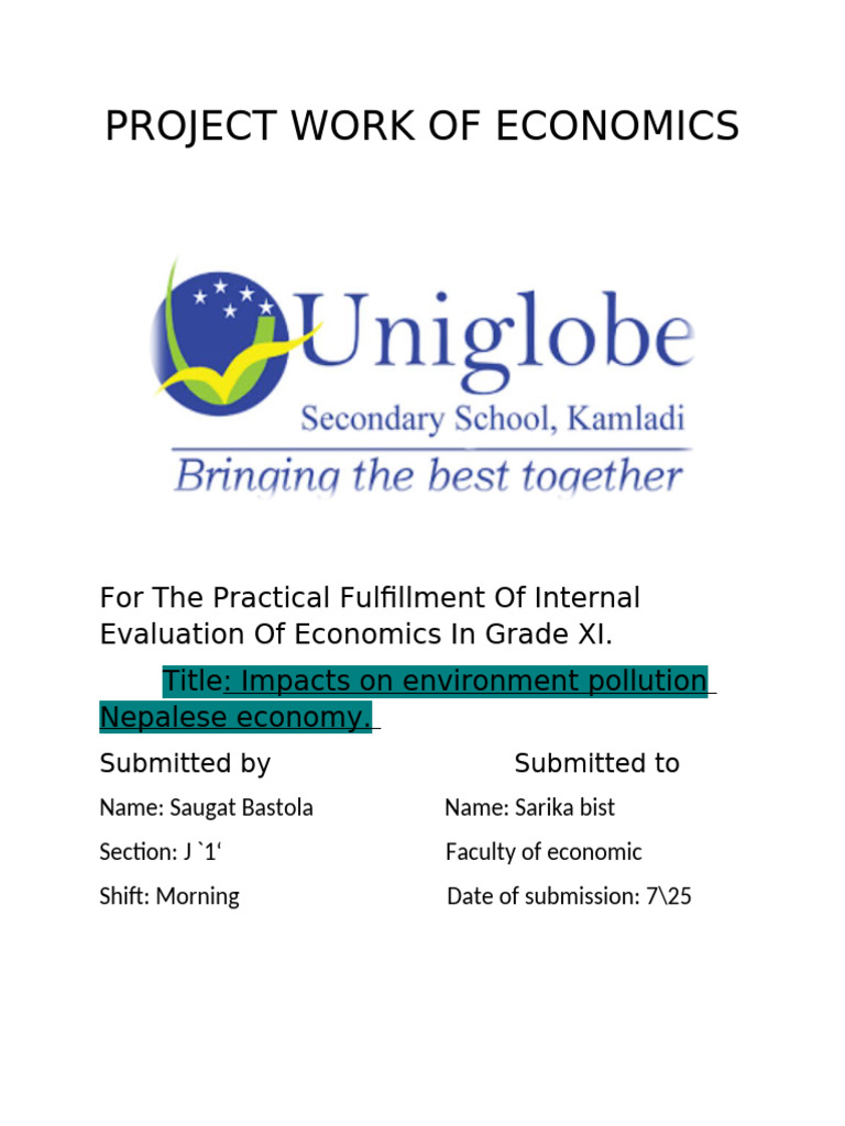 Project Work of Economics | PDF